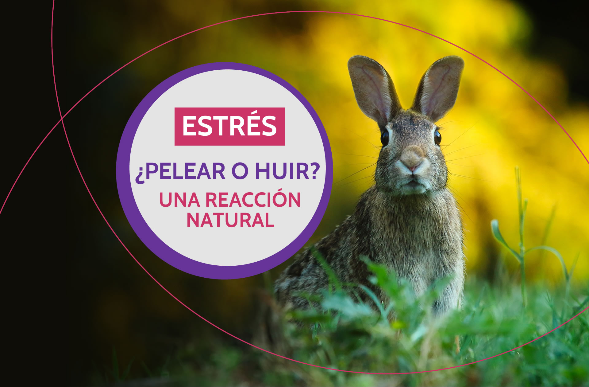 El Estrés – Hacer Terapia – un sitio web de Cetecic